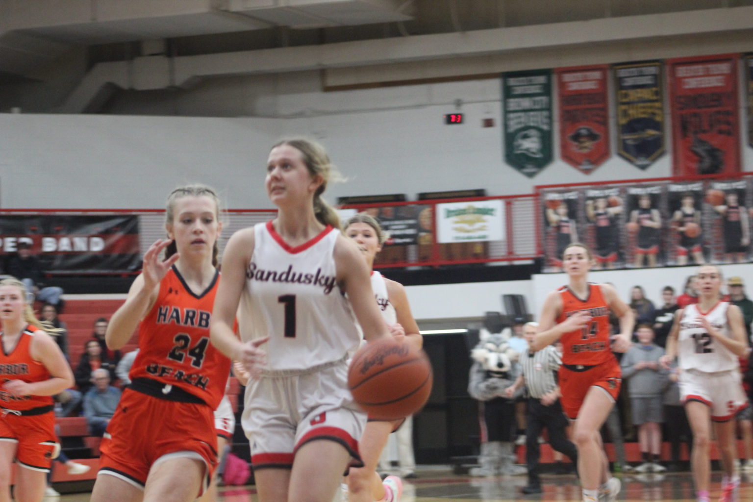 Caroline Reinke Was Unbelievable For The Sandusky Wolves Girls ...